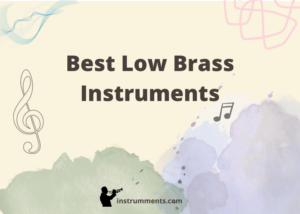 10 Best Low Brass Instruments 2023 - For Beginners and Pros