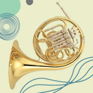 10 Best Low Brass Instruments 2023 - For Beginners and Pros