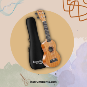 10 Best Four Stringed Instruments 2023 - Popular Picks - Instrumments