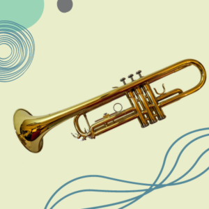 10 Best Low Brass Instruments 2023 - For Beginners and Pros